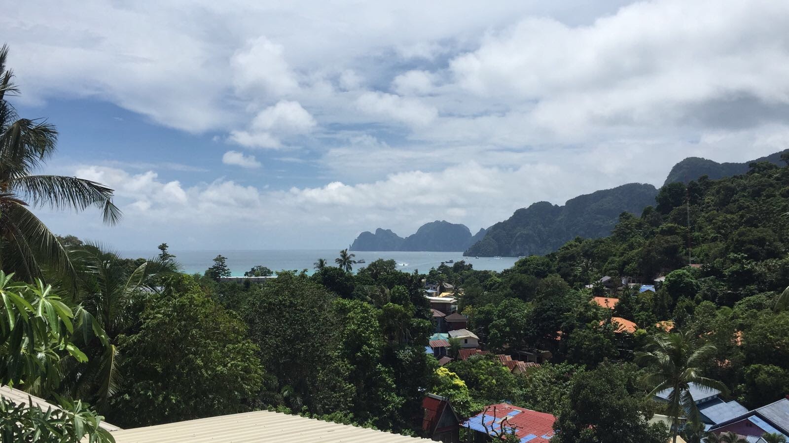 Ever On the Wing – December Rose